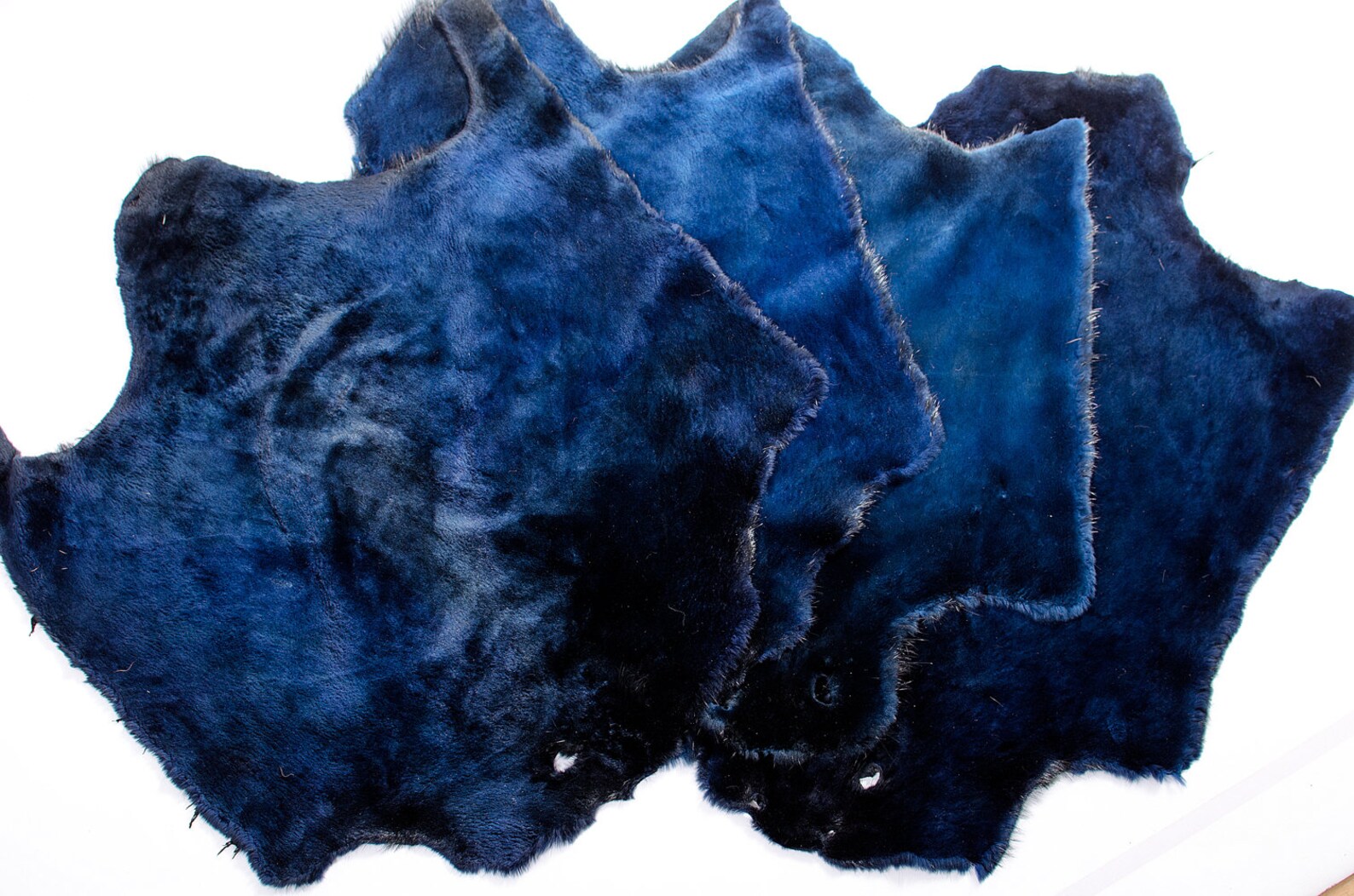 Black Beaver Pelt Animal Skin Beaver Fur Soft Mount Taxidermy Cosplay ...