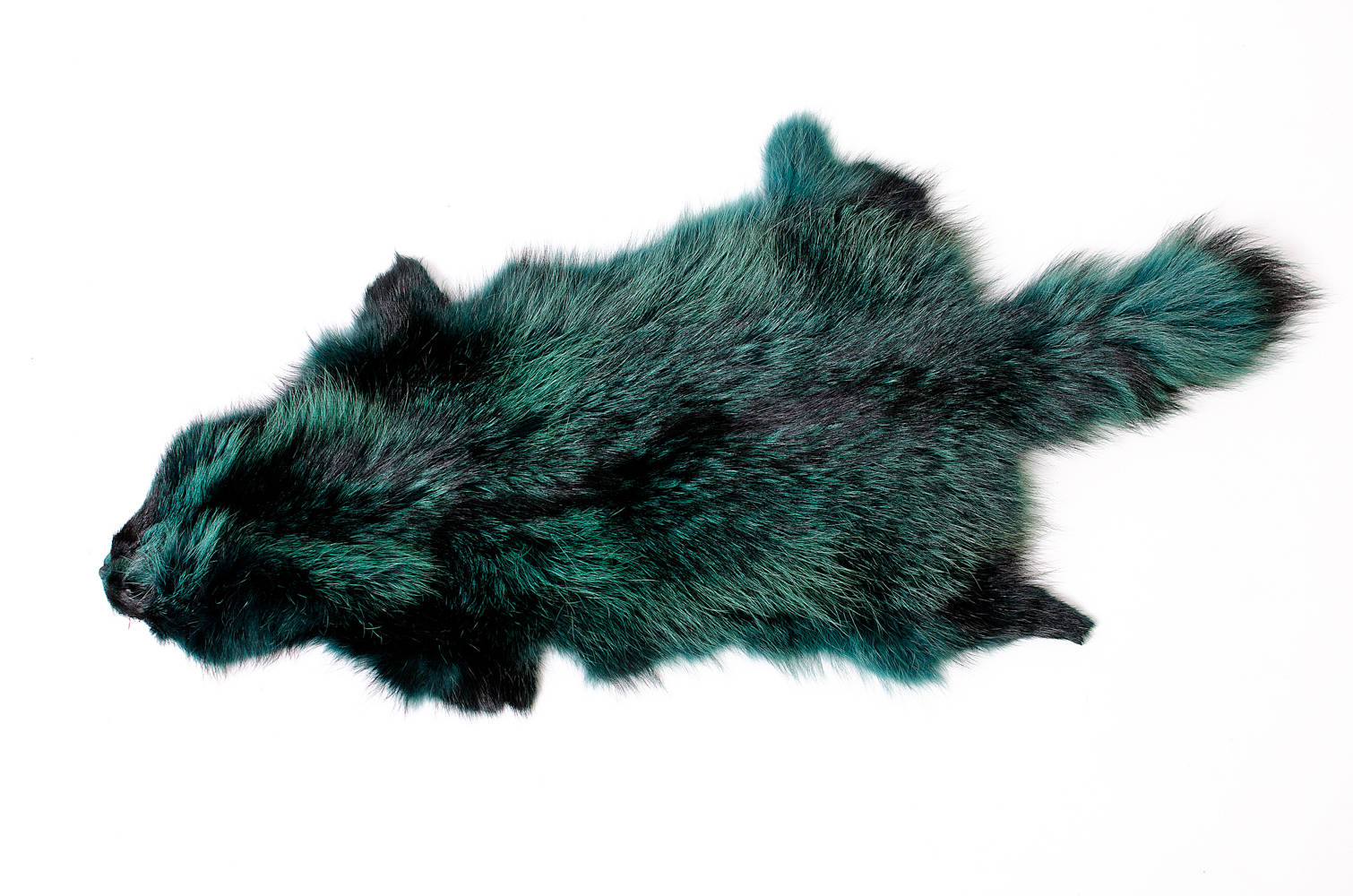 Blue Fox Skin Animal pelt Soft Mount Taxidermy costume | Etsy