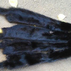 Black Mink Pelt Animal Skin Soft Mount Taxidermy Viking Clothing ...
