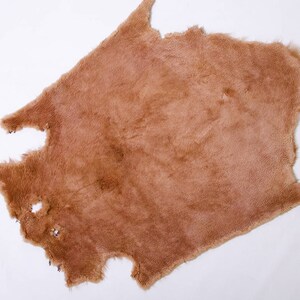 Black Beaver Pelt Animal Skin Beaver Fur Soft Mount Taxidermy Cosplay ...
