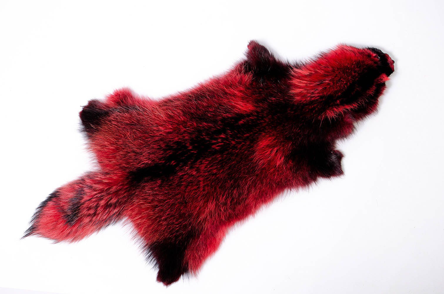 Raccoon Fur Pelt Soft Mount Taxidermy Animal Pelt | Etsy