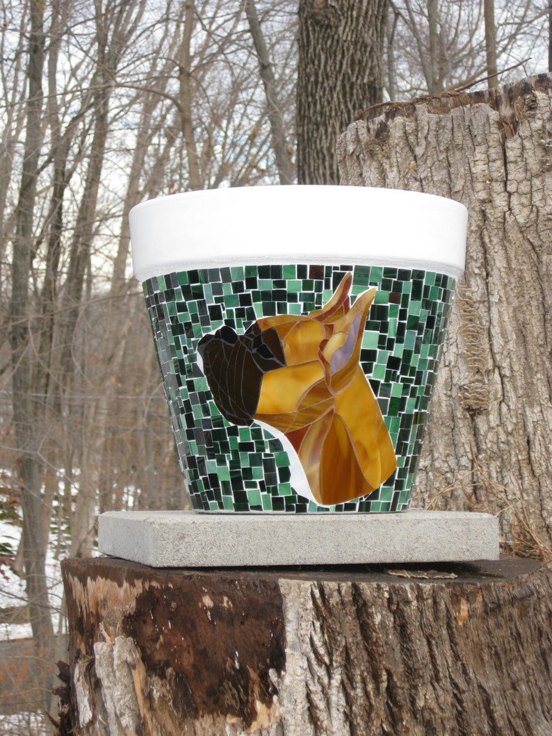 Custom Made Mosaic Planter With Boxer - Etsy