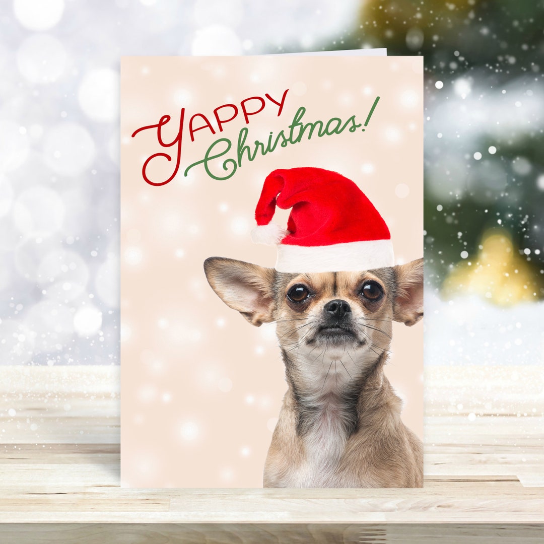 Cute Chihuahua Dogs Christmas Cards Dog Wearing Santa Hat - Etsy