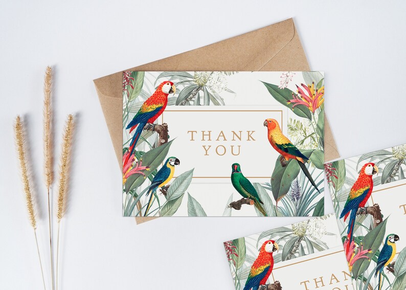 Pack of 10 Tropical Birds Themed Thank You / Note Cards With | Etsy