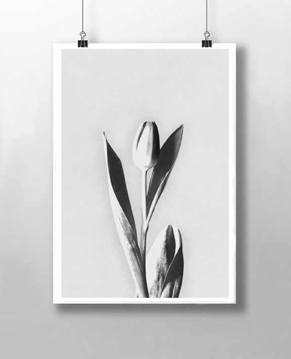 Printable Art Floral Print Wild Flower Print Botanical | Etsy