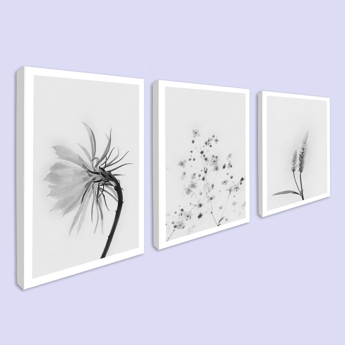 Botanical Print Set, Floral Prints, Set of 3 Flower Prints, Vintage ...