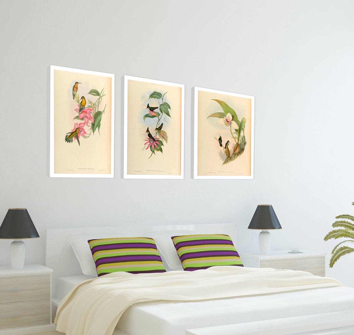Set of 3 Framed Prints, Frame Lounge Wall Art, Set of 3 Vintage Prints ...