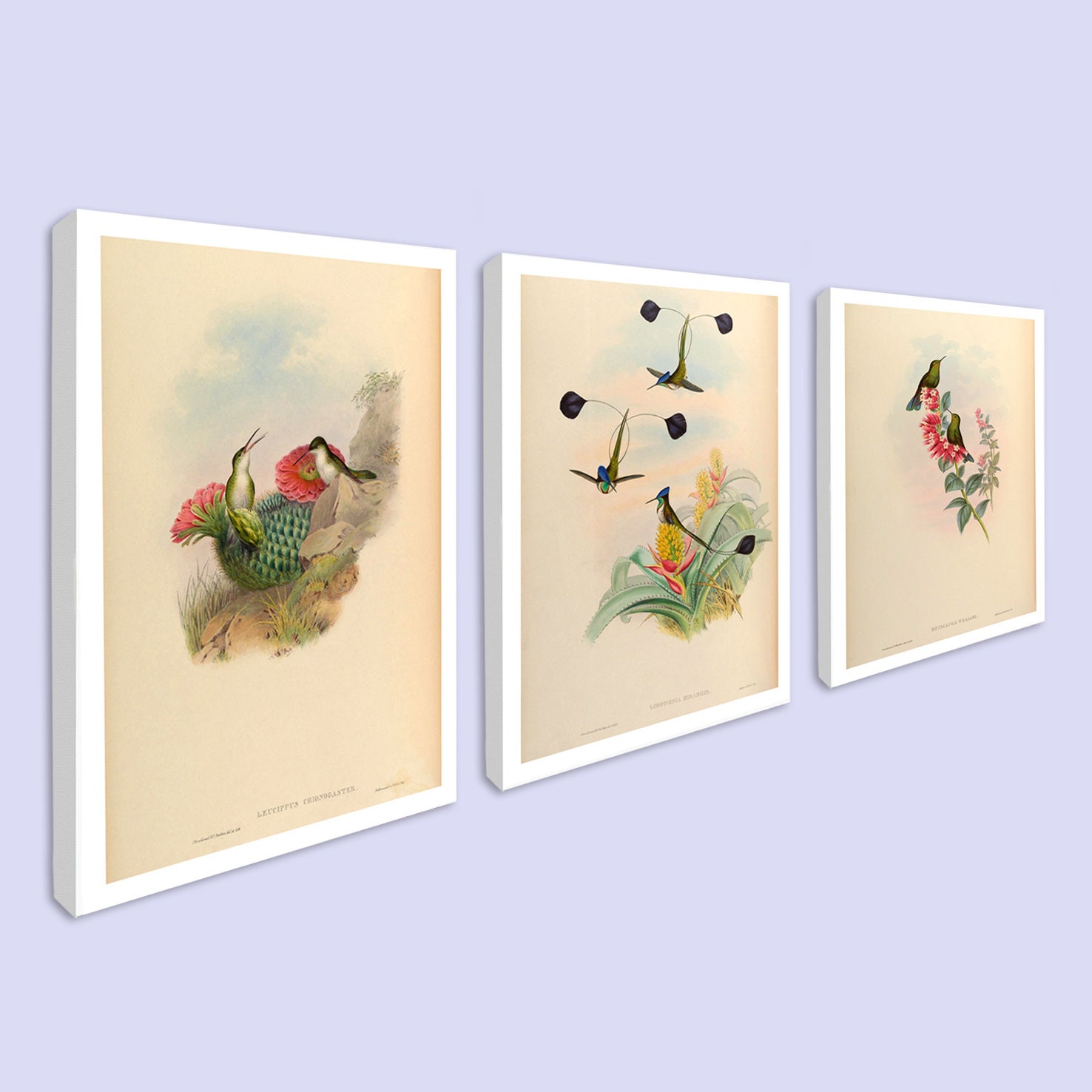 Set of 3 Canvas Wall Art Modern Canvas Art Prints for Your | Etsy