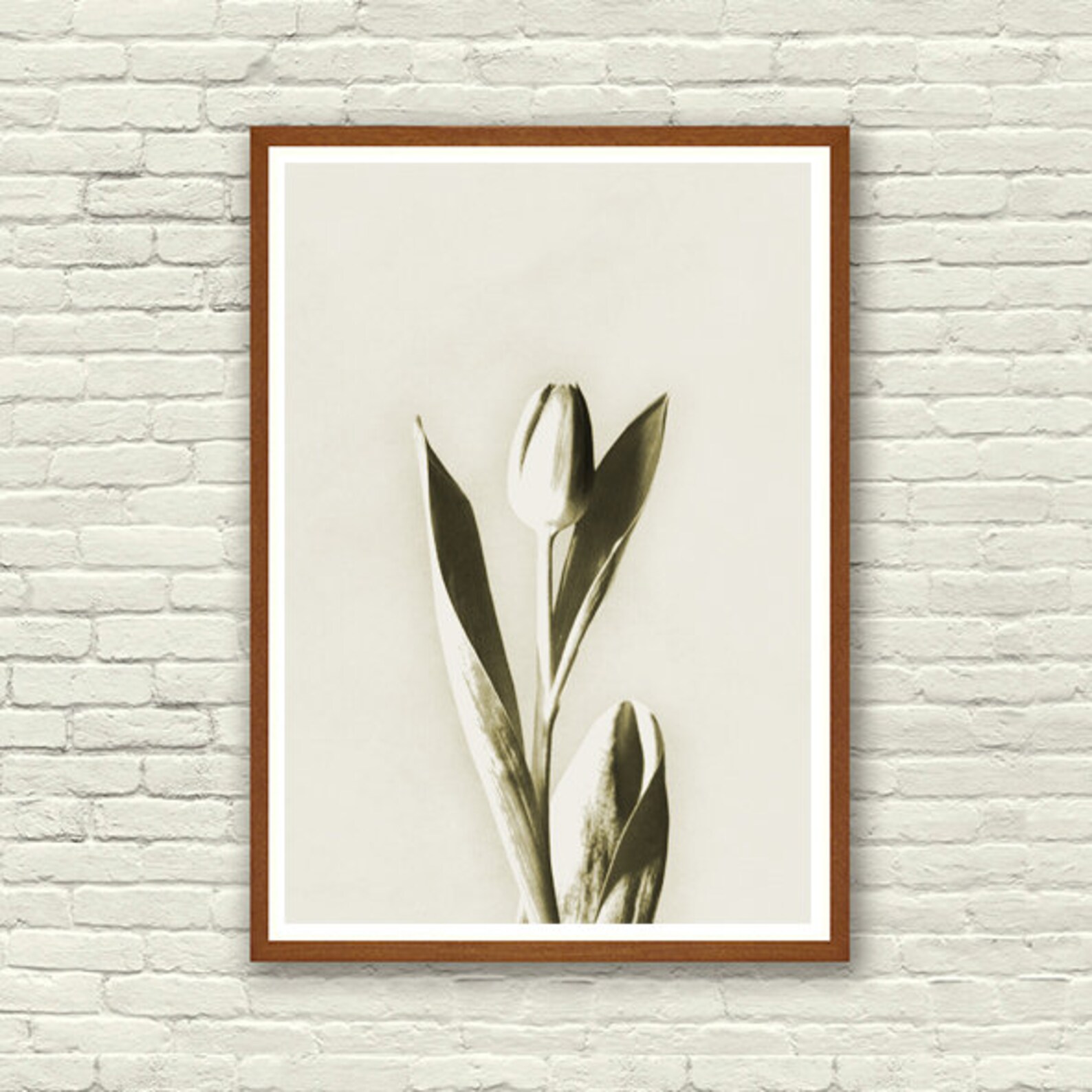 Framed Print of single Tulip Framed Kitchen Wall Art Black | Etsy