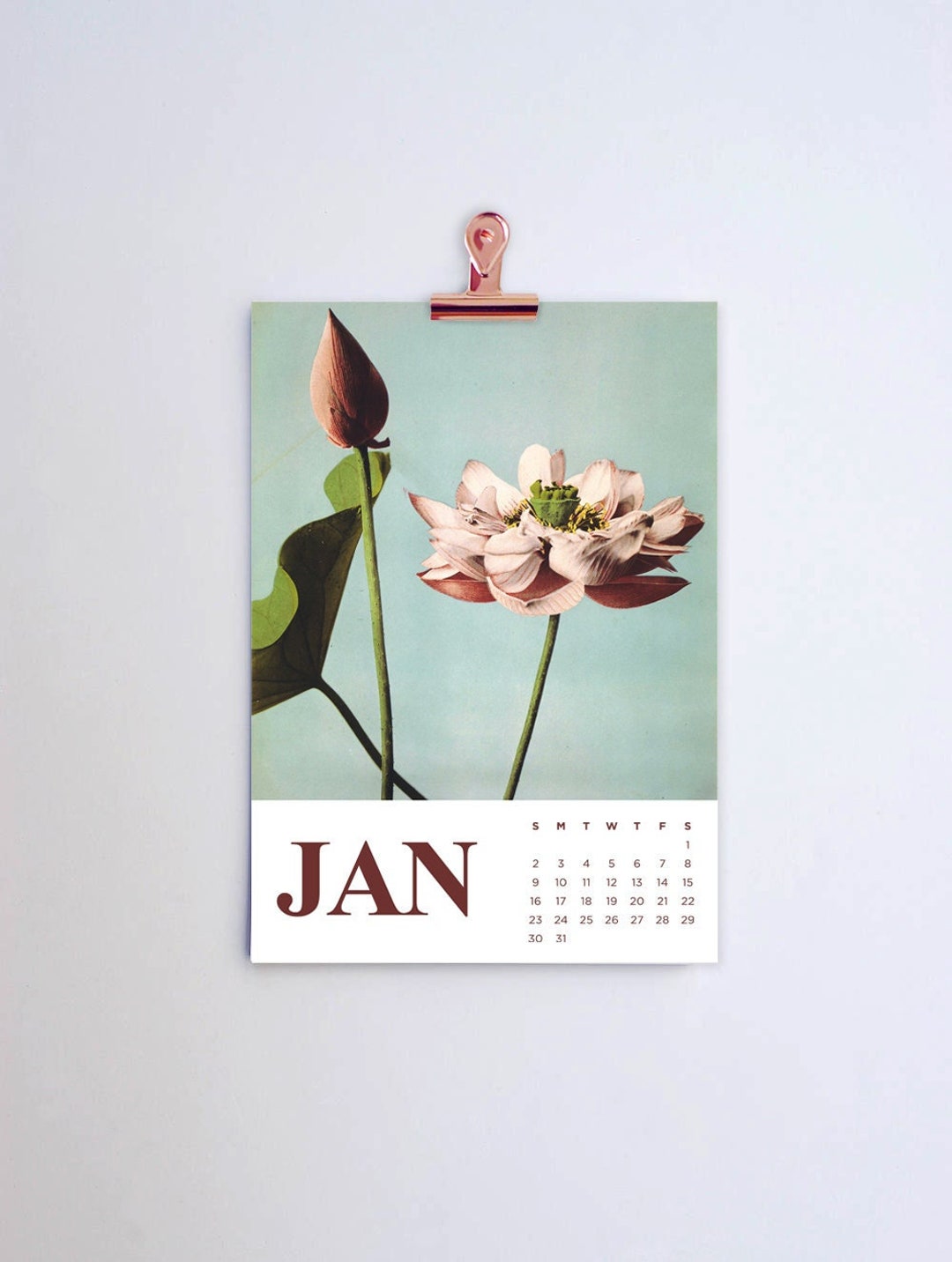 2026 Wall Calendar, Botanical Gift, Wall Calendar 2026, Gift for Her ...