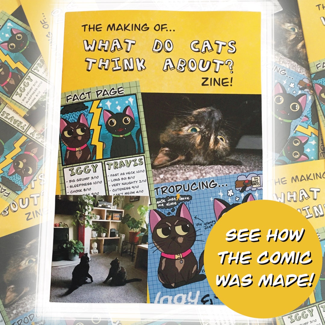 What Do Cats Think About 'the Making Of' Zine - Etsy UK