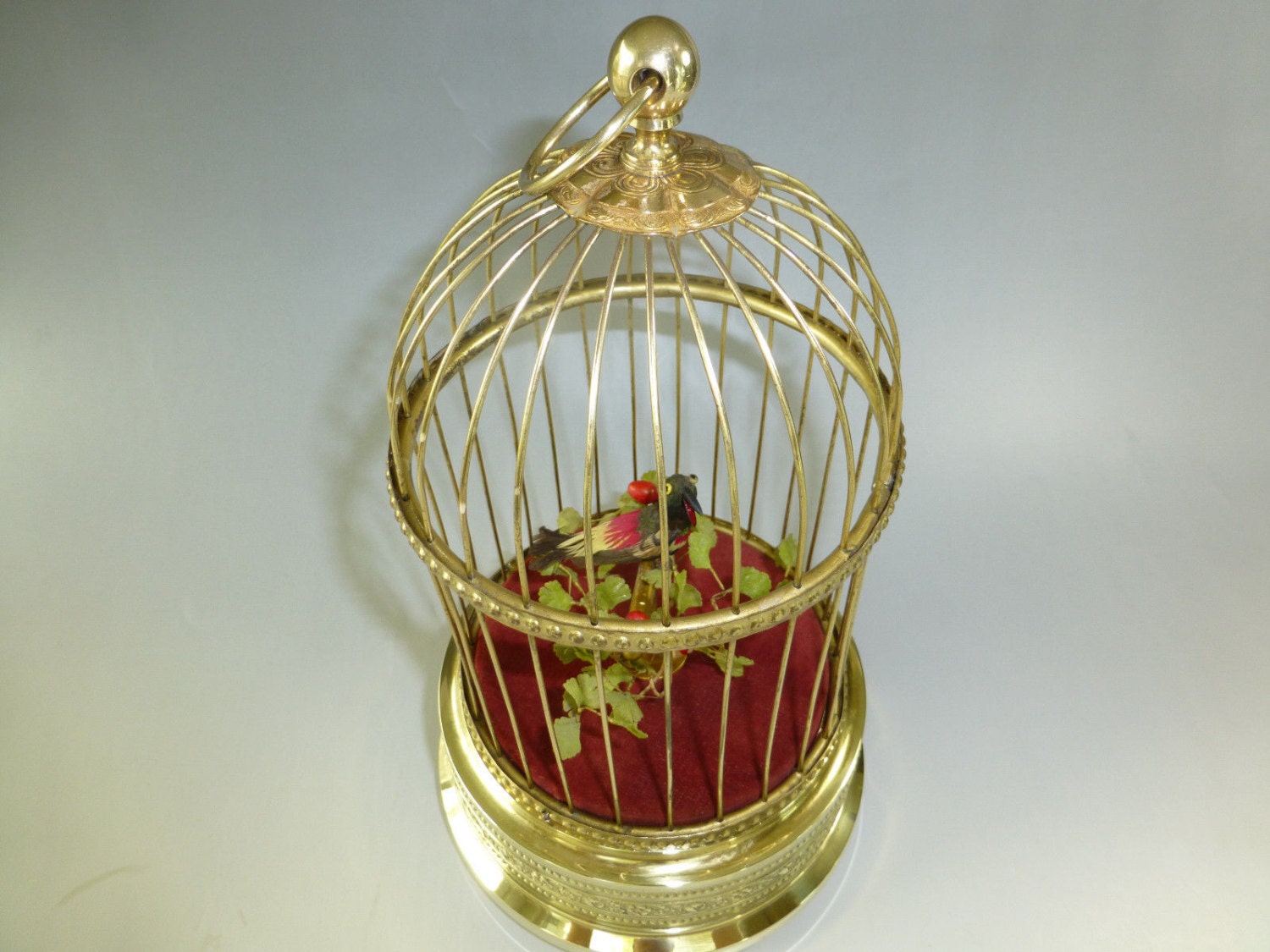 Rare Antique German Real Hummingbird Feathers Singing Bird Cage ...
