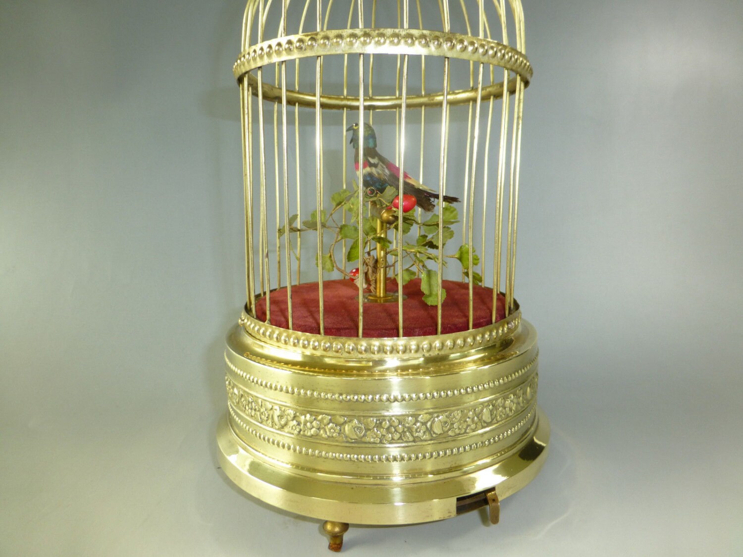 Rare Antique German Real Hummingbird Feathers Singing Bird Cage ...