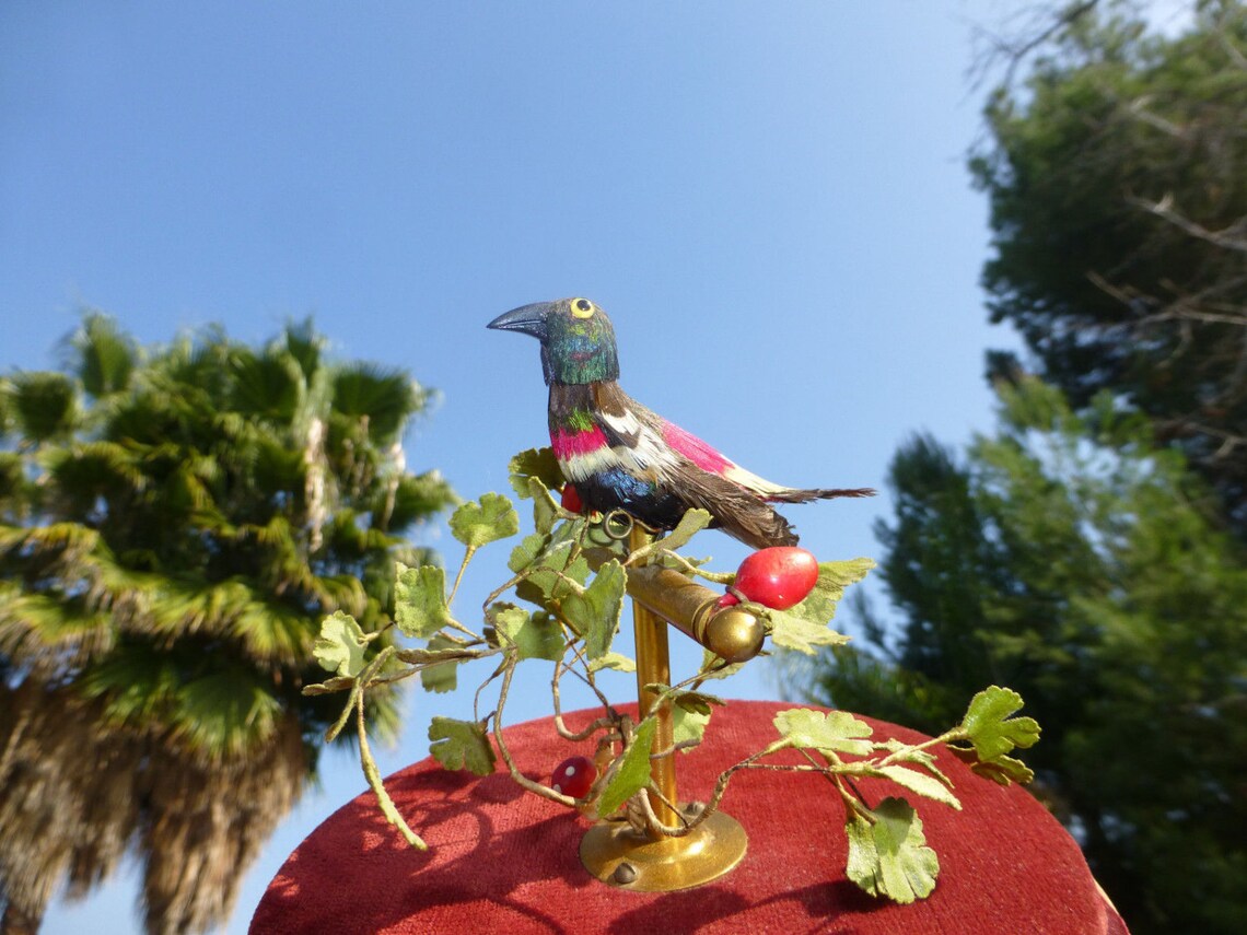 Rare Antique German Real Hummingbird Feathers Singing Bird Cage ...