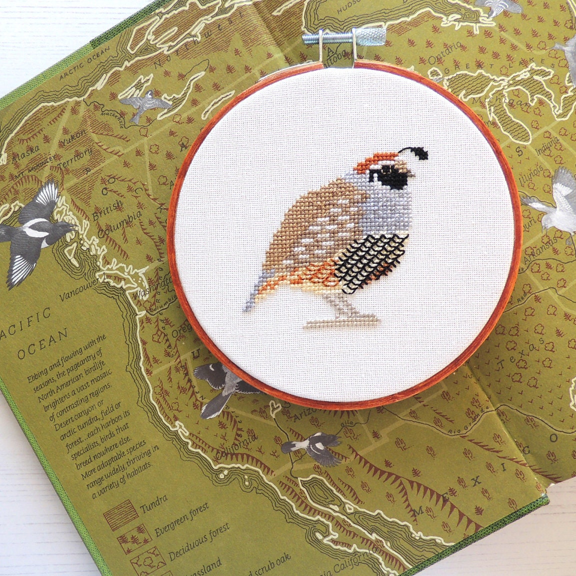California Quail Cross Stitch Pattern State Bird Embroidery - Etsy UK