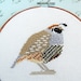 California Quail Cross Stitch Pattern: State Bird Design (PDF) - Etsy