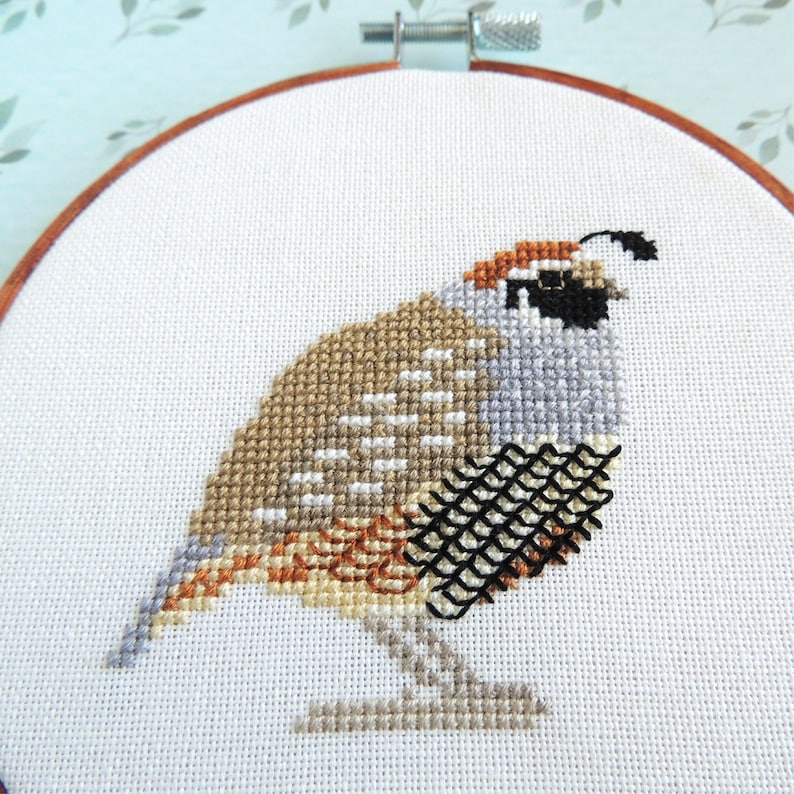 California Quail Cross Stitch Pattern State Bird Embroidery - Etsy UK