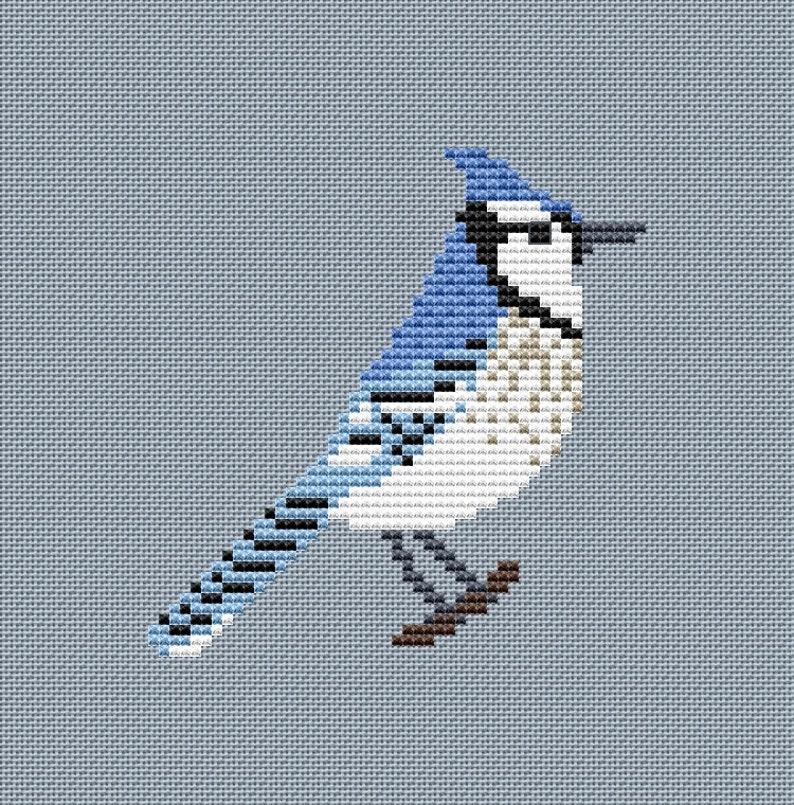 Blue Jay Cross Stitch Pattern PDF Digital Download American - Etsy
