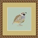 California Quail Cross Stitch Pattern: State Bird Design (PDF) - Etsy