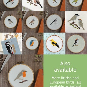 California Quail Cross Stitch Pattern: State Bird Design (PDF) - Etsy