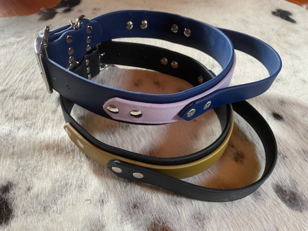 Biothane Collar With Handle Waterproof Biothane Collars 1 - Etsy