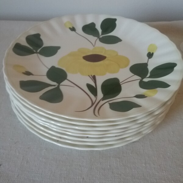 Blue Ridge Plates - Etsy