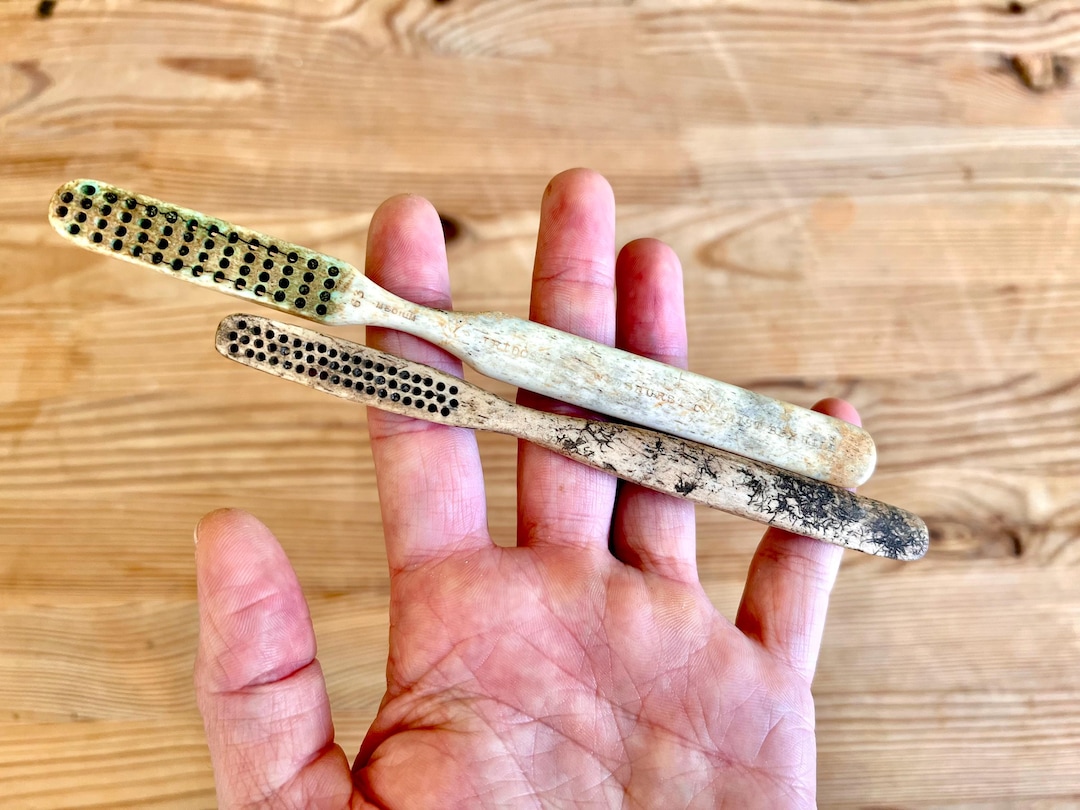 Pair of Antique Bone Toothbrushes - Etsy