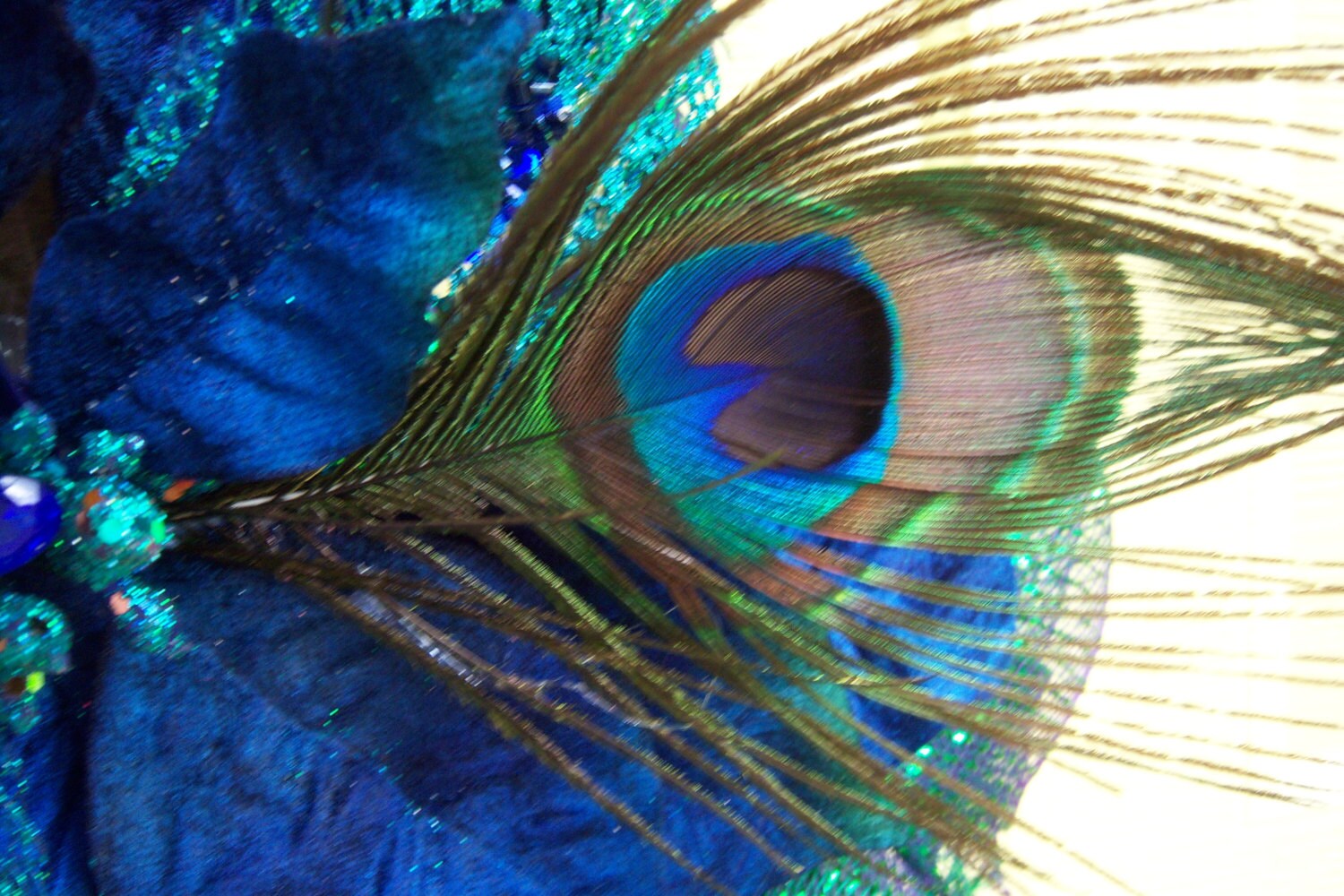 The Glorious Peacock Wreath- - Etsy