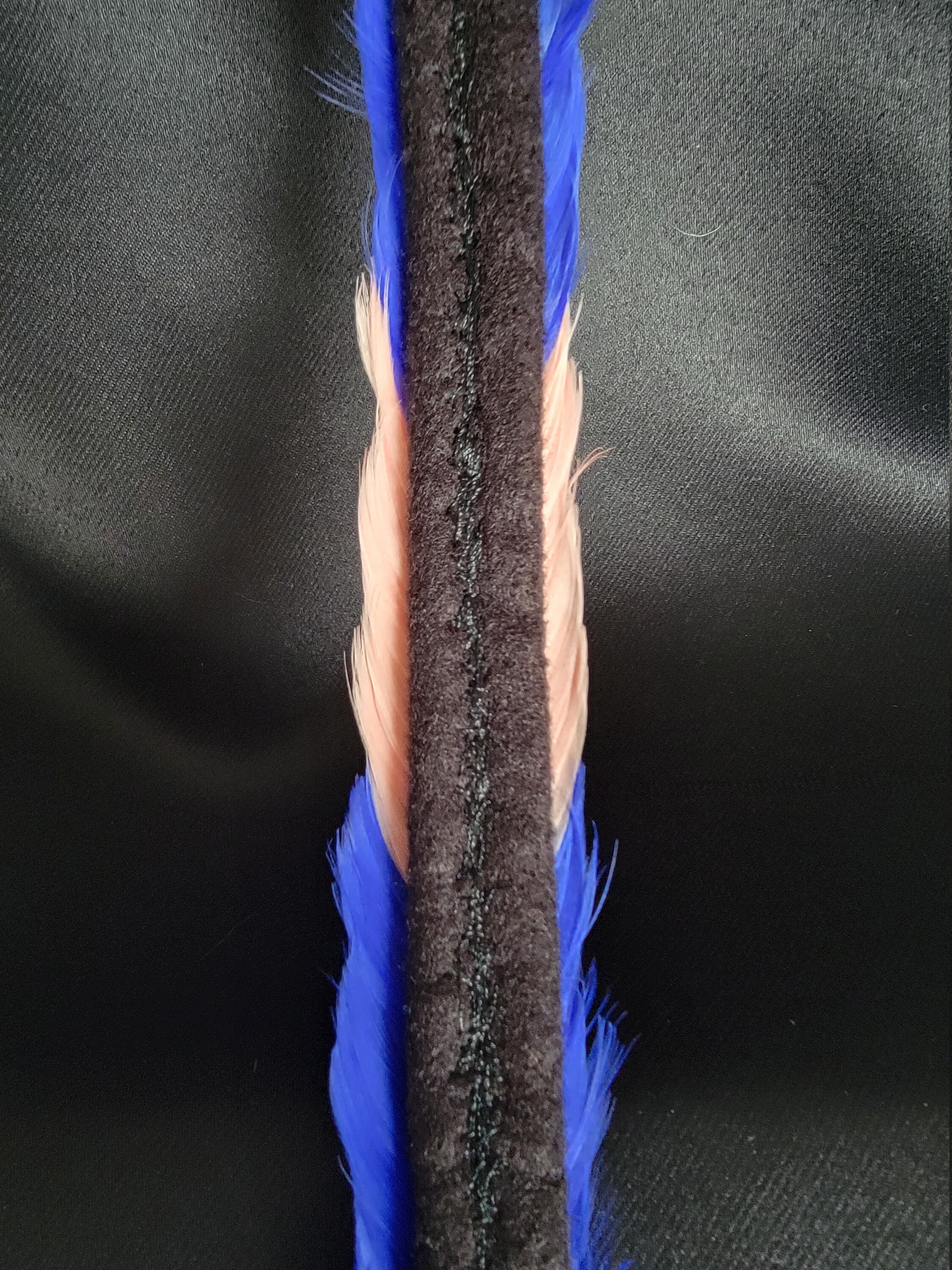 Blue Bird Humupapa hawaiian Feather Hatband 25 X - Etsy