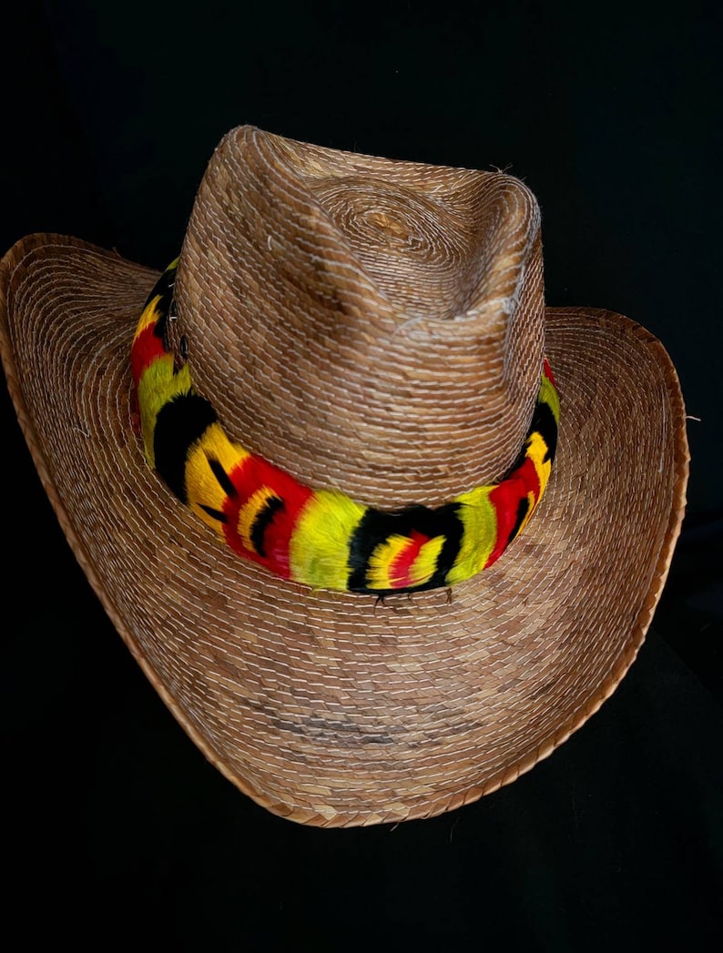 Hawaii Nei Humupapa Hawaiian Feather Hatband - Etsy