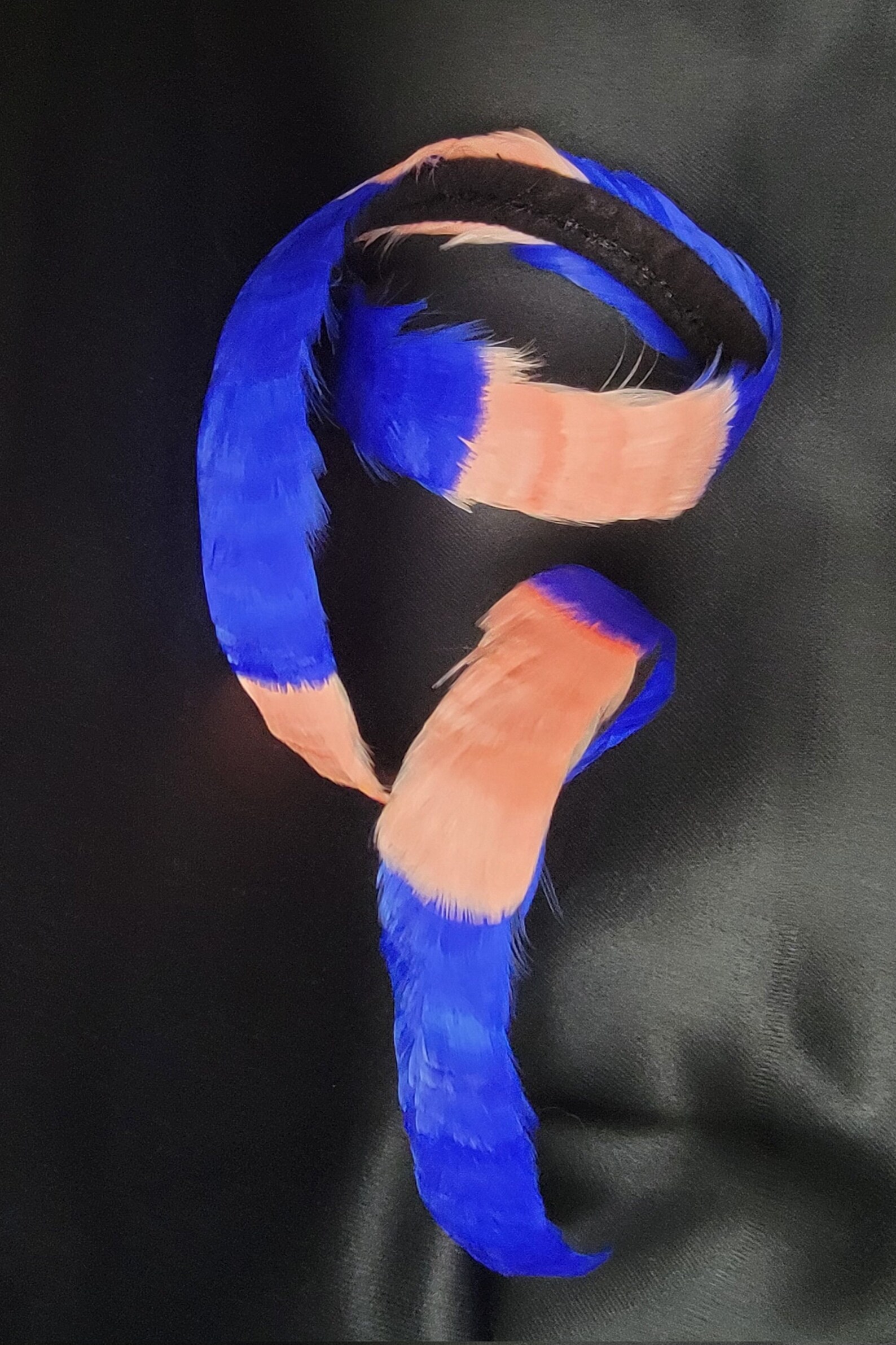 Blue Bird Humupapa hawaiian Feather Hatband 25 X - Etsy