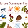 Nature Scavenger Hunt - Activity Sheet - Woodland - Autumn - Printable ...