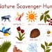 Nature Scavenger Hunt - Activity Sheet - Woodland - Autumn - Printable ...