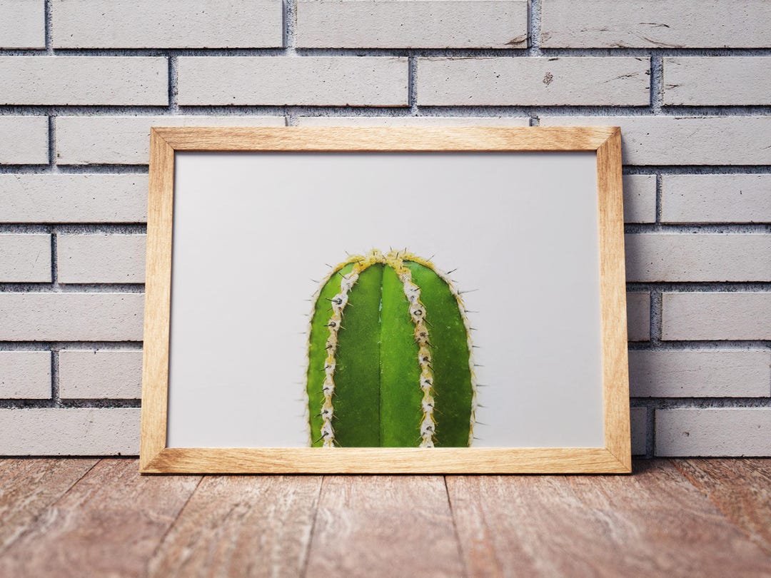 Cactus Print, Succulent Wall Art, Digital Download, Printable Cactus ...