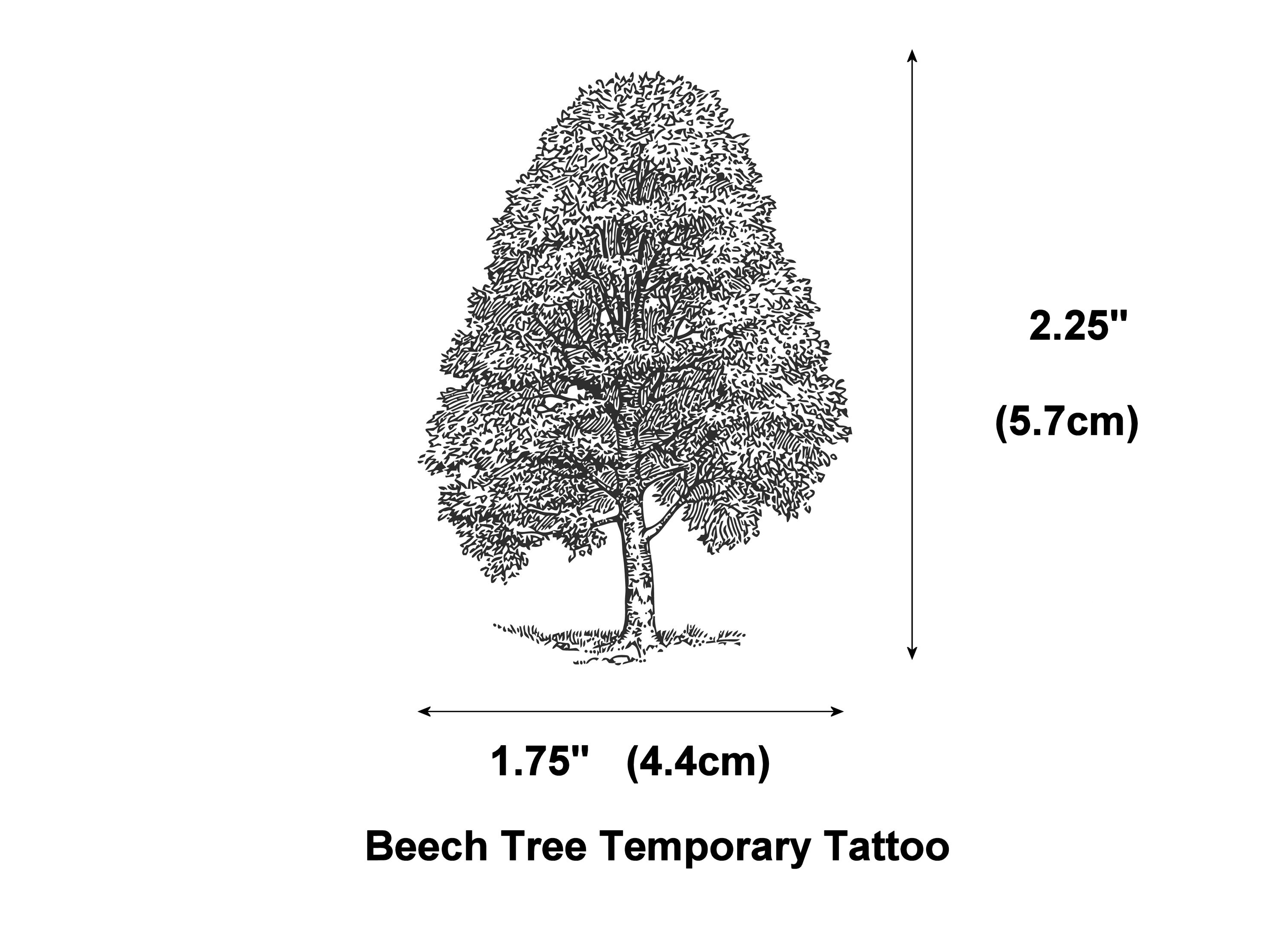 Beech Tree Tattoo