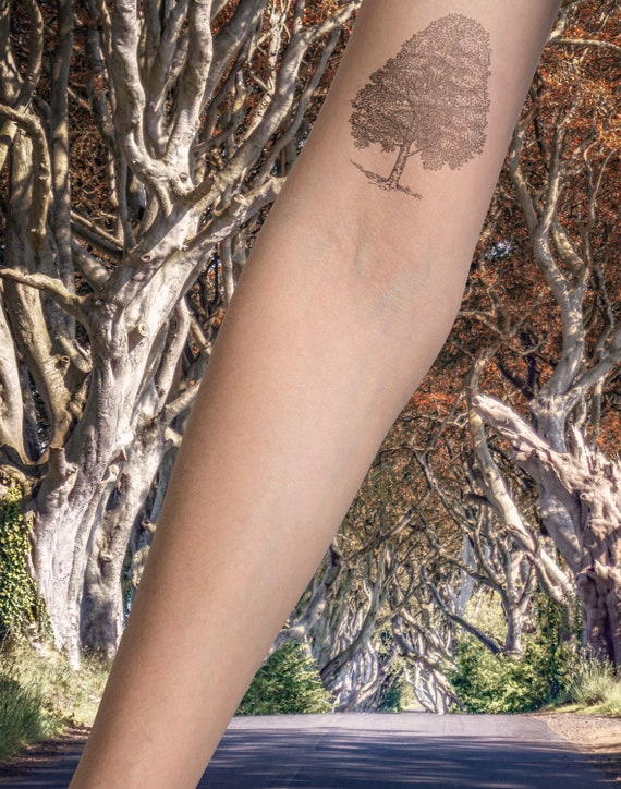 Beech Tree Tattoo