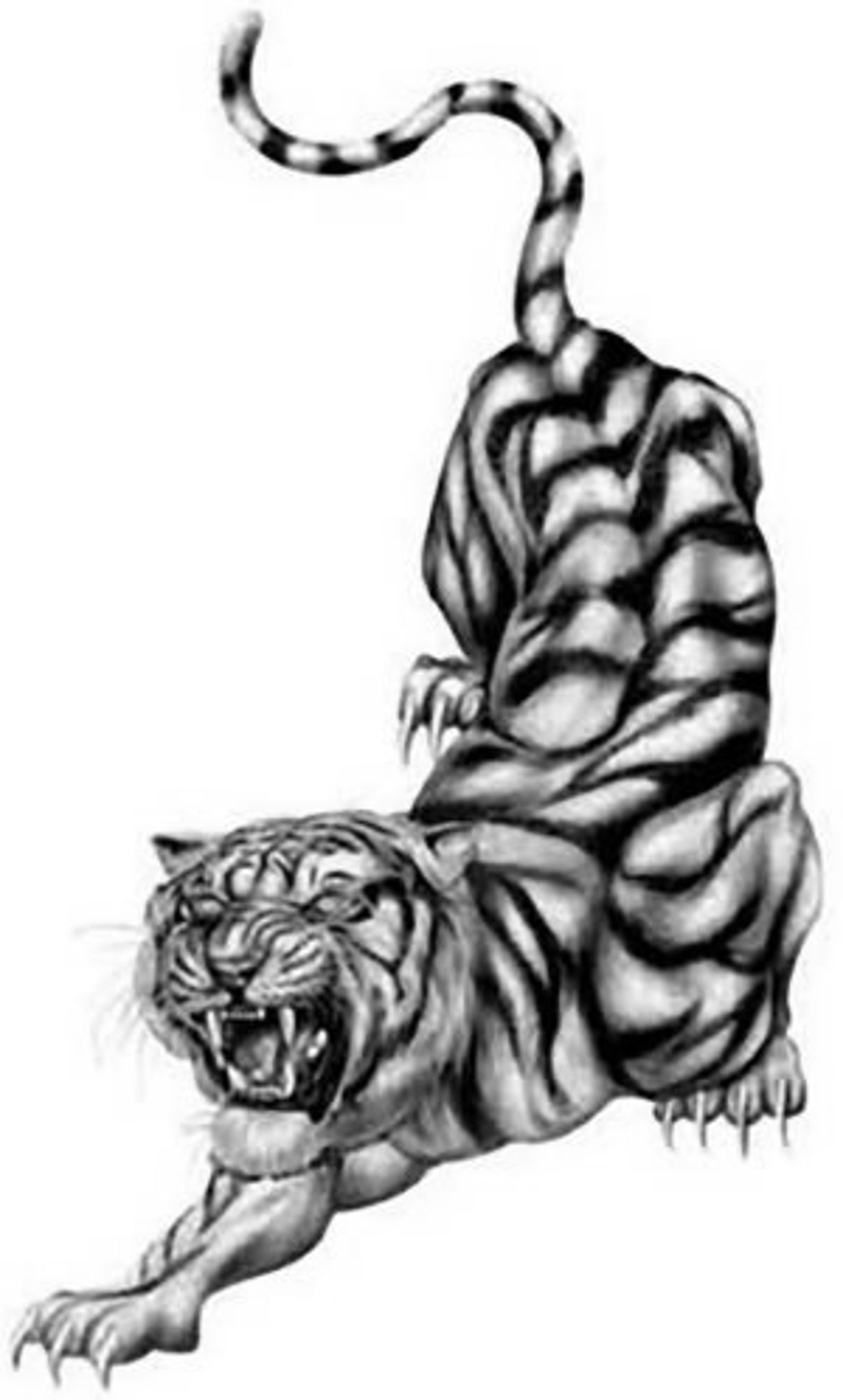 Tiger Temporary Fake Tattoo Bold Body Art Transfer Waterpoof Fancy ...