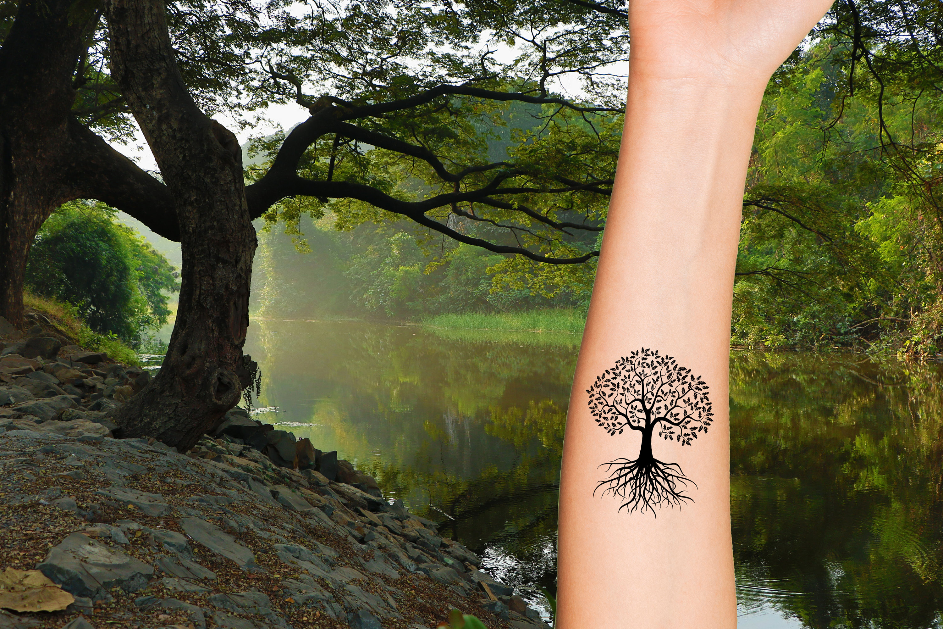 Oak Tree Tattoos For Women