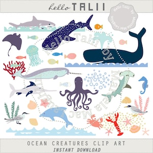 OCEAN CLIPART- Sea Life Digital Clipart Shark Whale Narwhal Jellyfish ...