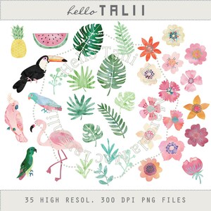 WATERCOLOR TROPICAL Clipart- Digital Summer Tropical Clip Art Jungle ...