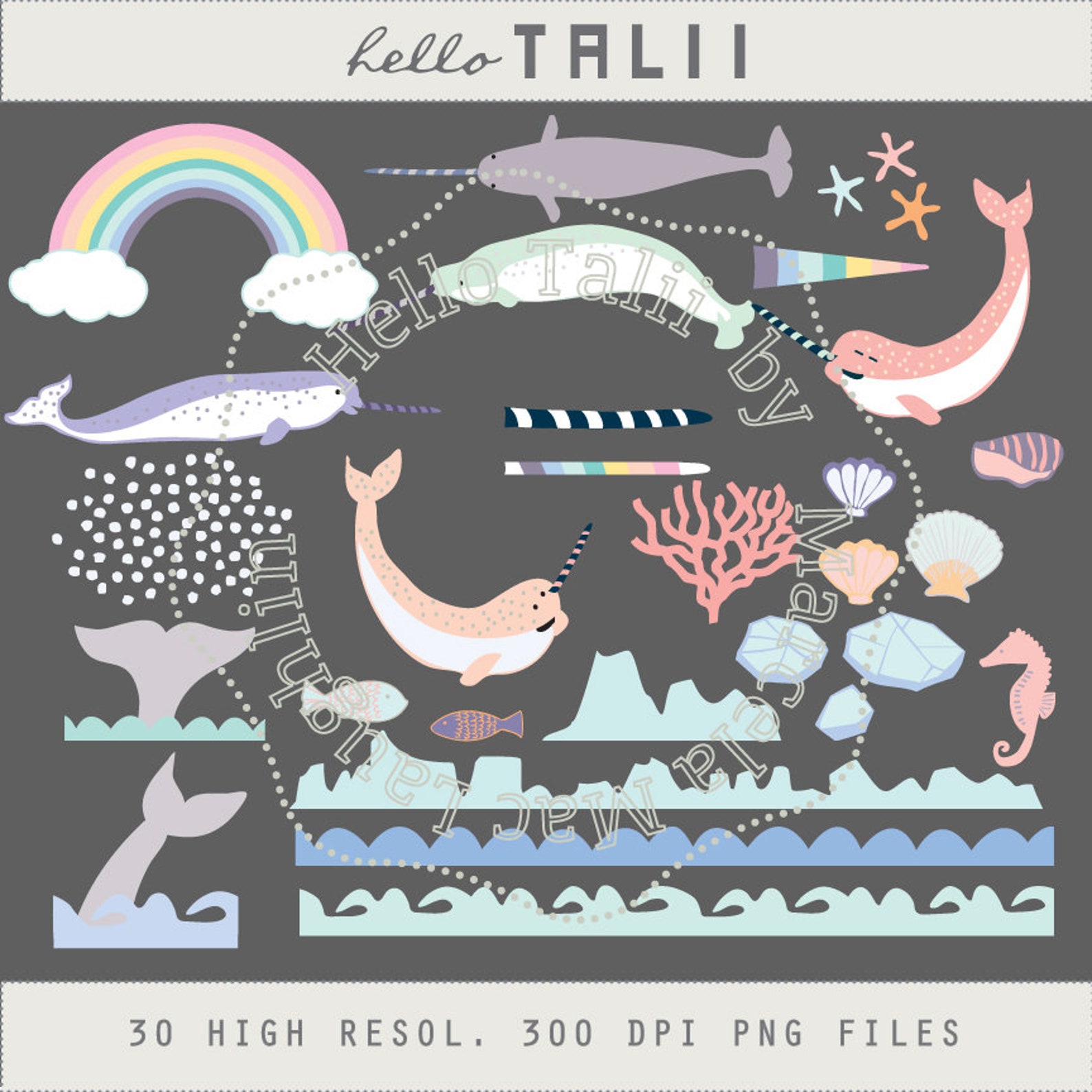 NARWHAL CLIPART Sea Unicorn Narwhal Digital Clip Art Artic - Etsy