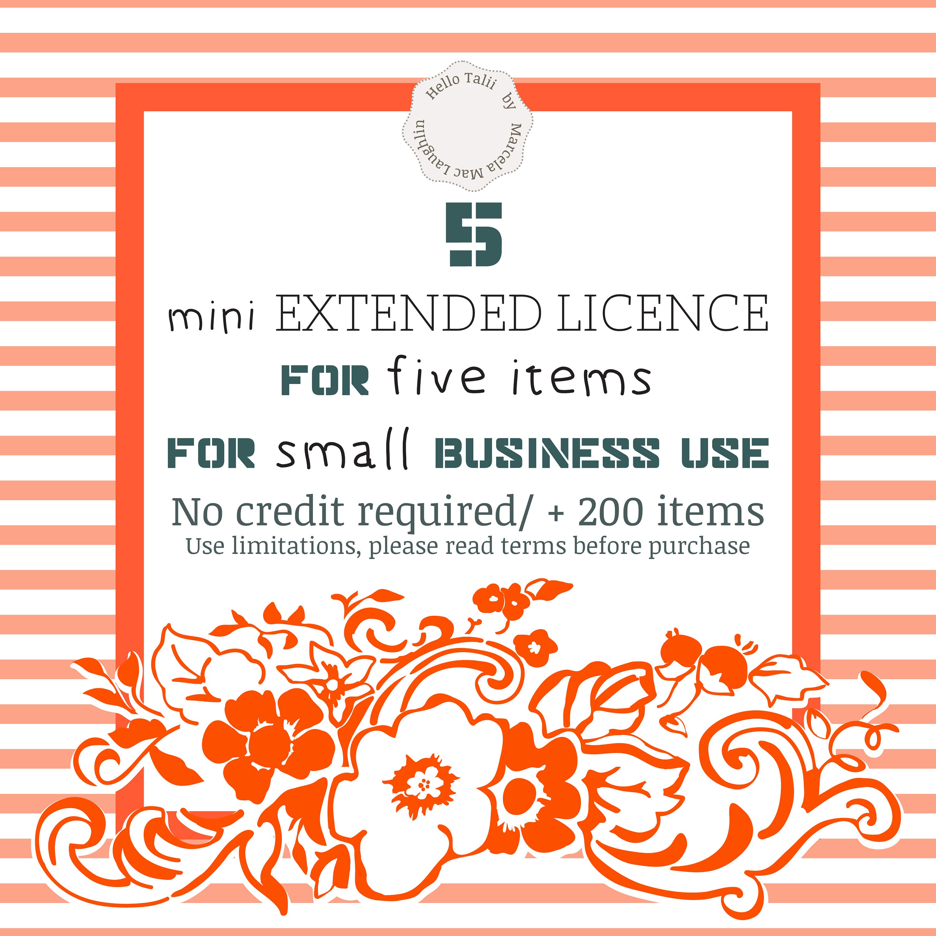 5 MINI EXTENDED LICENSES for Small Business Use- No Credit Required ...