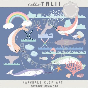 NARWHAL CLIPART Sea Unicorn Narwhal Digital Clip Art Artic Whale ...