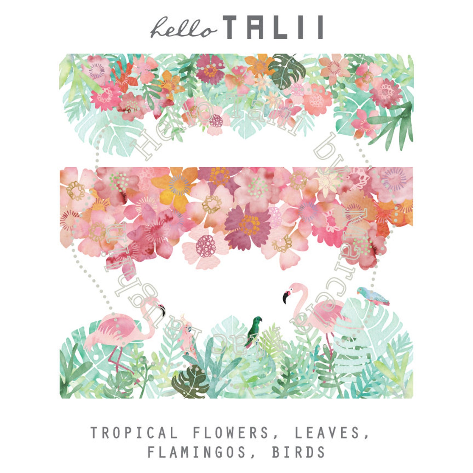 Watercolor Flower BORDERS Clip Art- 6 Digital Borders Tropical Summer ...