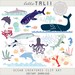 OCEAN CLIPART- Sea Life Digital Clipart Shark Whale Narwhal Jellyfish ...