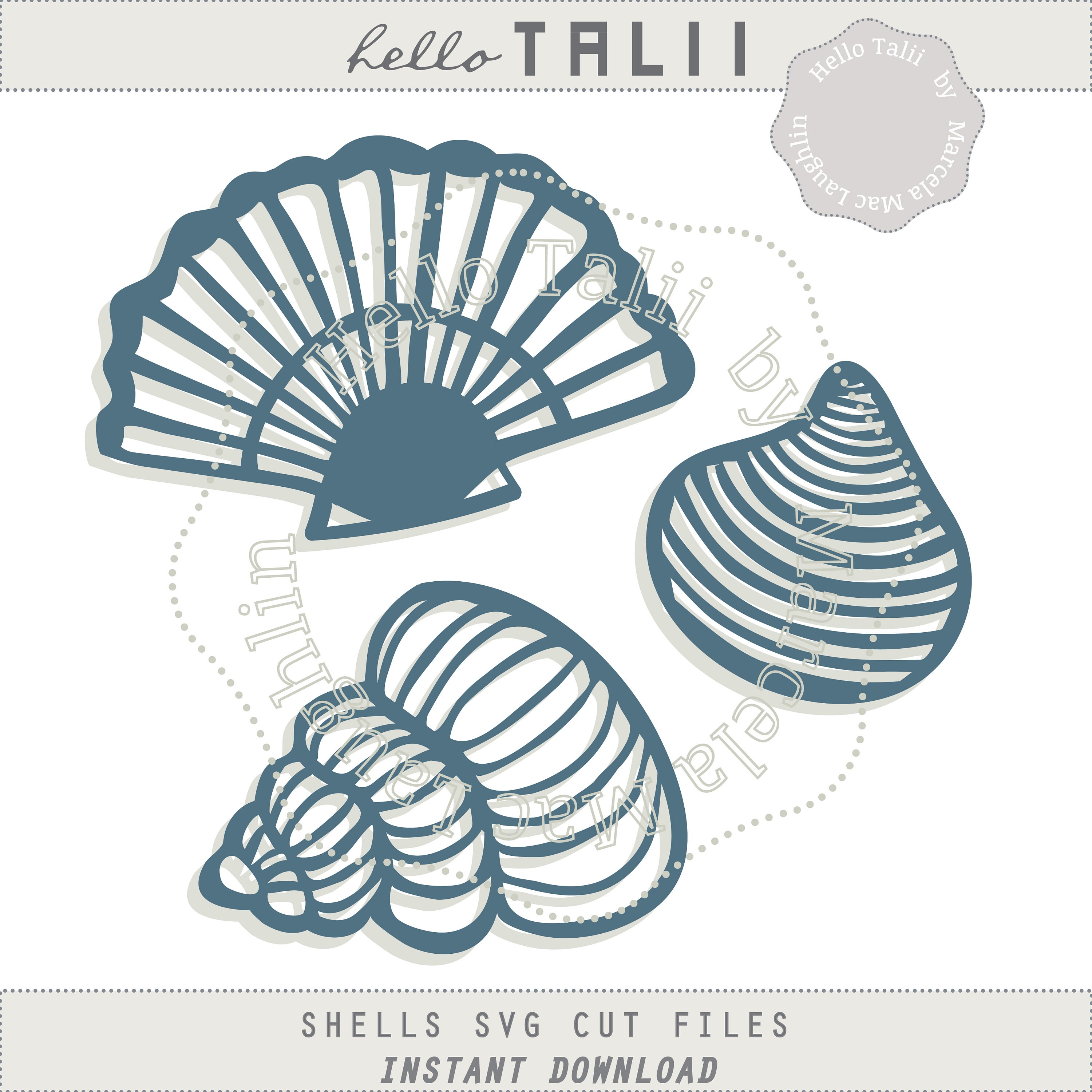 SHELLS SVG Cut files Dxf Eps Png Studio3 3 Hand drawn | Etsy