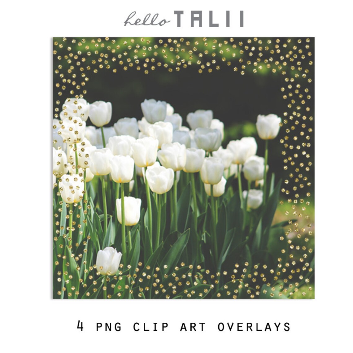 GOLD Confetti Frames Clip Art Digital Papers PNG gold | Etsy