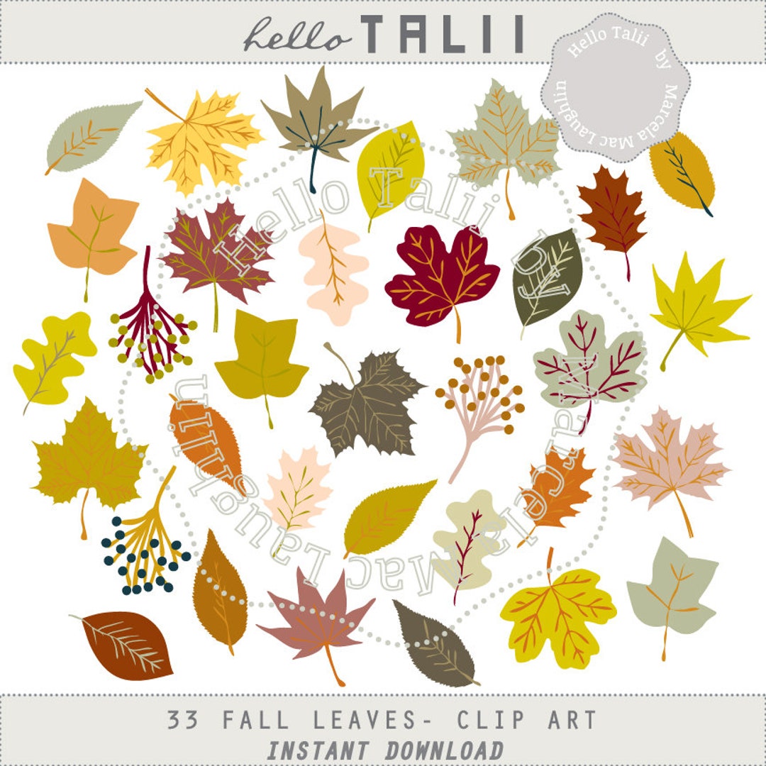 FALL LEAVES Clip Art- 33 Autumn Leaves in Brown Orange Red Green Yellow ...