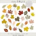 FALL LEAVES Clip Art- 33 Autumn Leaves in Brown Orange Red Green Yellow ...