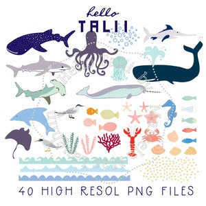 OCEAN BUNDLE Clip Art + Digital Paper- Under the Sea Life Graphics ...